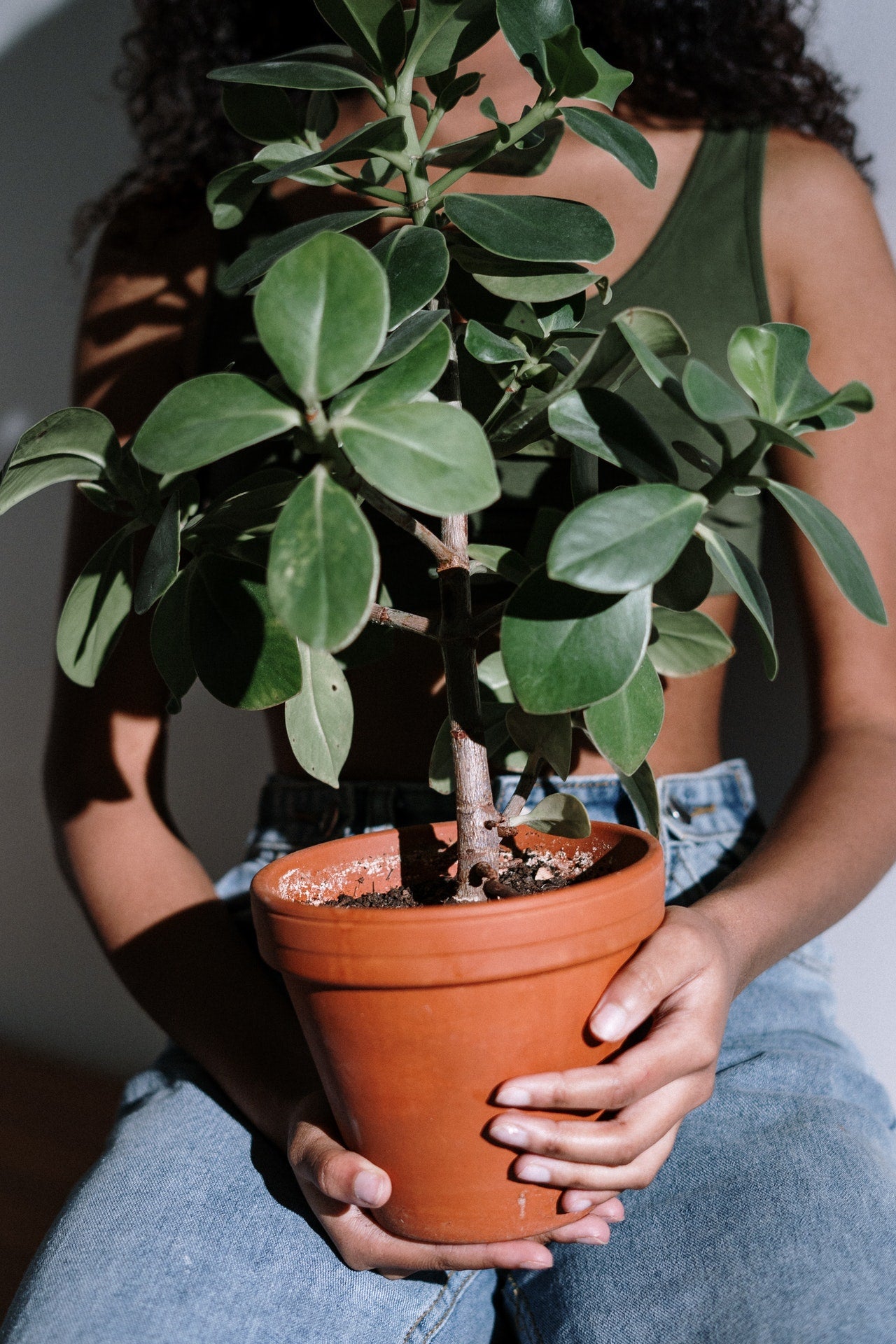 GREENER THAN GREEN – The Home Object